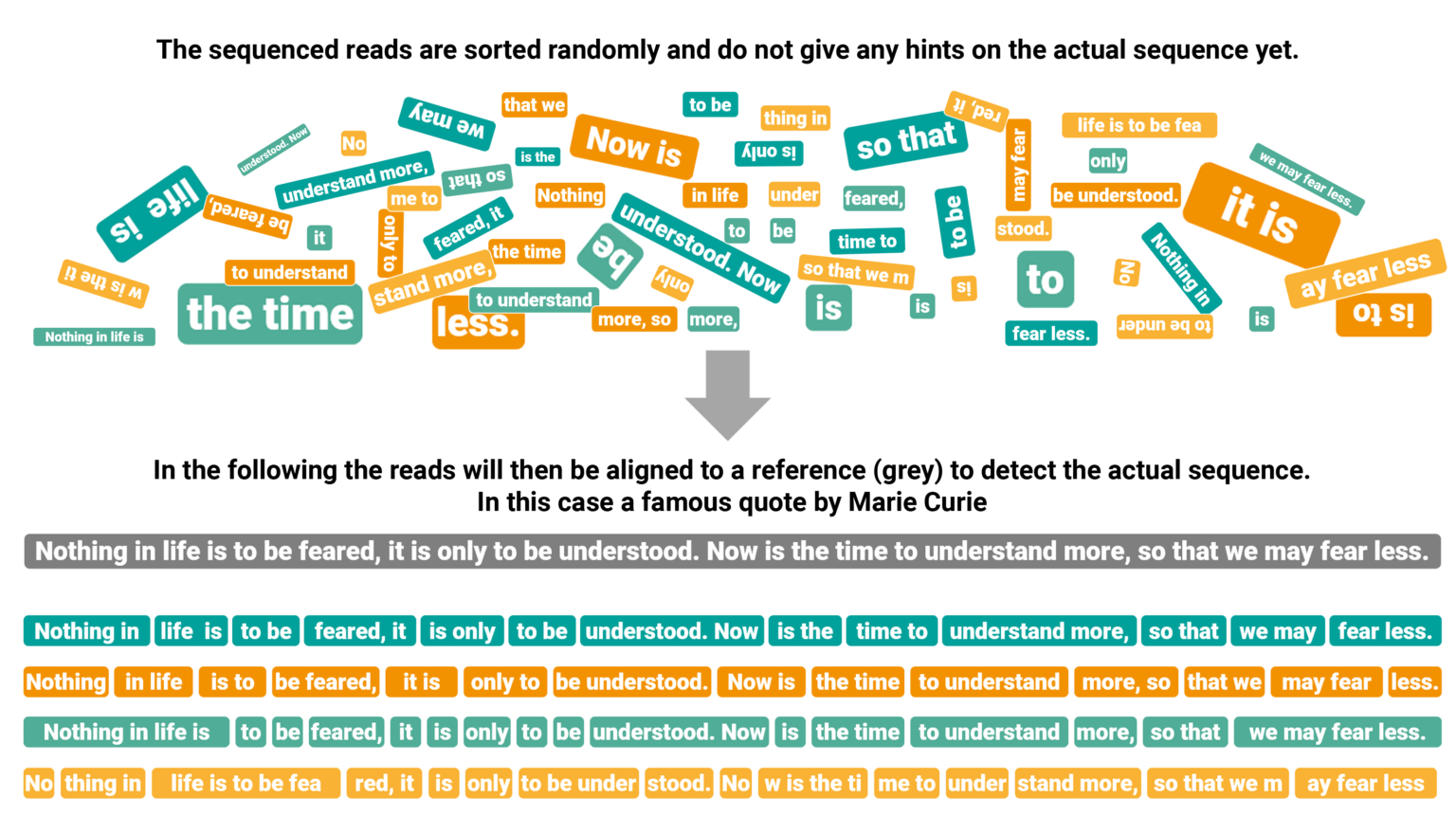 GenomSys - Bioinformatics and genomics - Genomic Corner