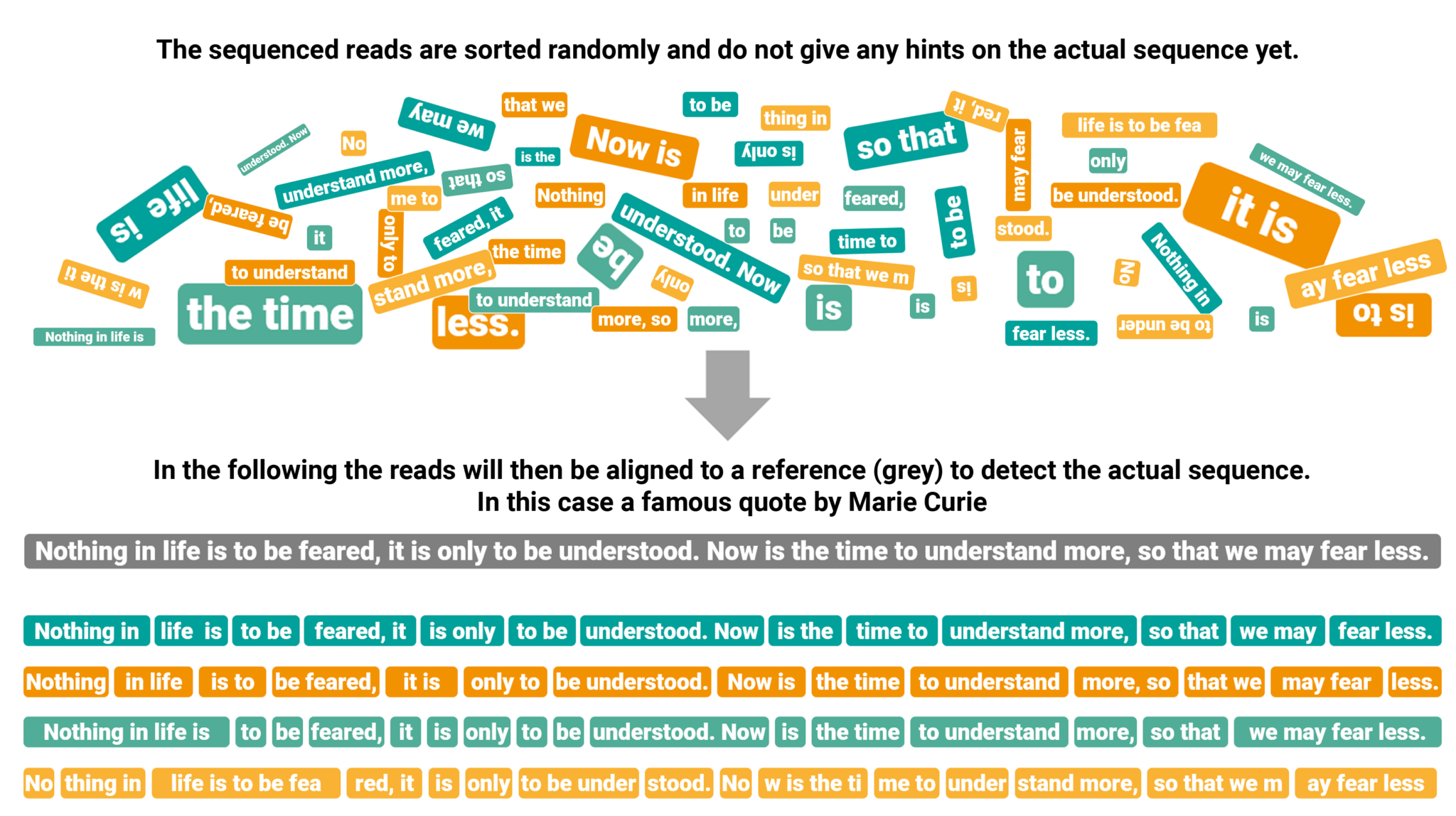GenomSys - Bioinformatics and genomics - Genomic Corner