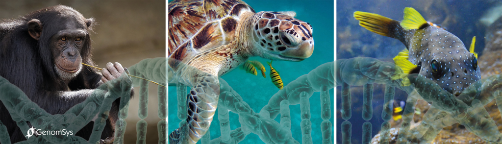 GenomSys - World DNA Day – The DNA of mammals, reptiles and fishes