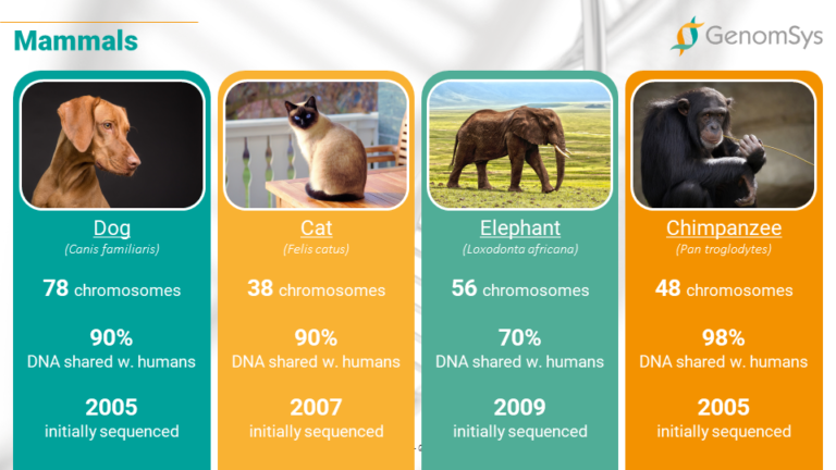 GenomSys - World DNA Day – The DNA of mammals, reptiles and fishes