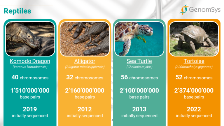 GenomSys - World DNA Day – The DNA of mammals, reptiles and fishes